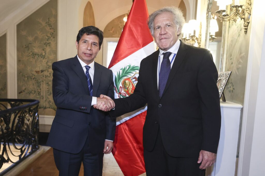 Castillo y Almagro dialogaron sobre respeto a la democracia – Diario El ...