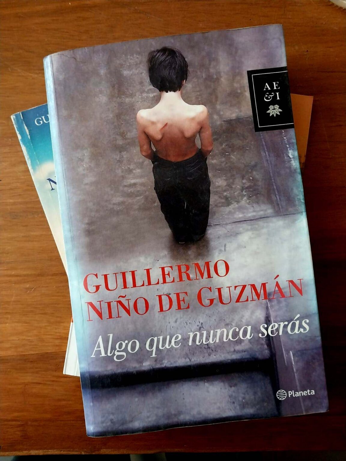 Hay 2024: Guillermo Niño de Guzmán – Diario El Pueblo