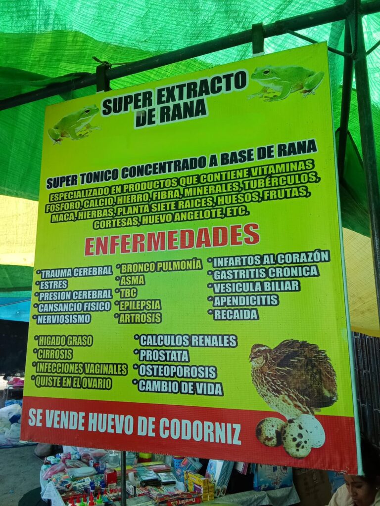 Ranas en peligro de extinción eran comercializadas en feria – Diario El ...